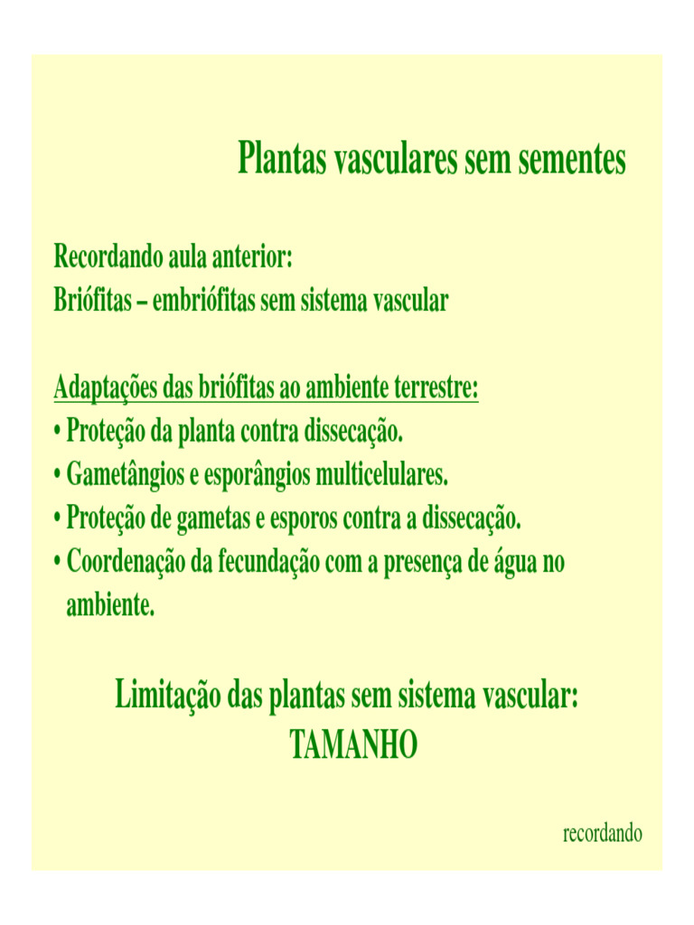 Plantas Vasculares Filos Trimerophytophyta e Pteridophyta | PDF ...