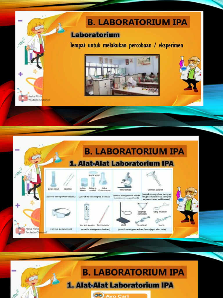 Labor Ipa | PDF