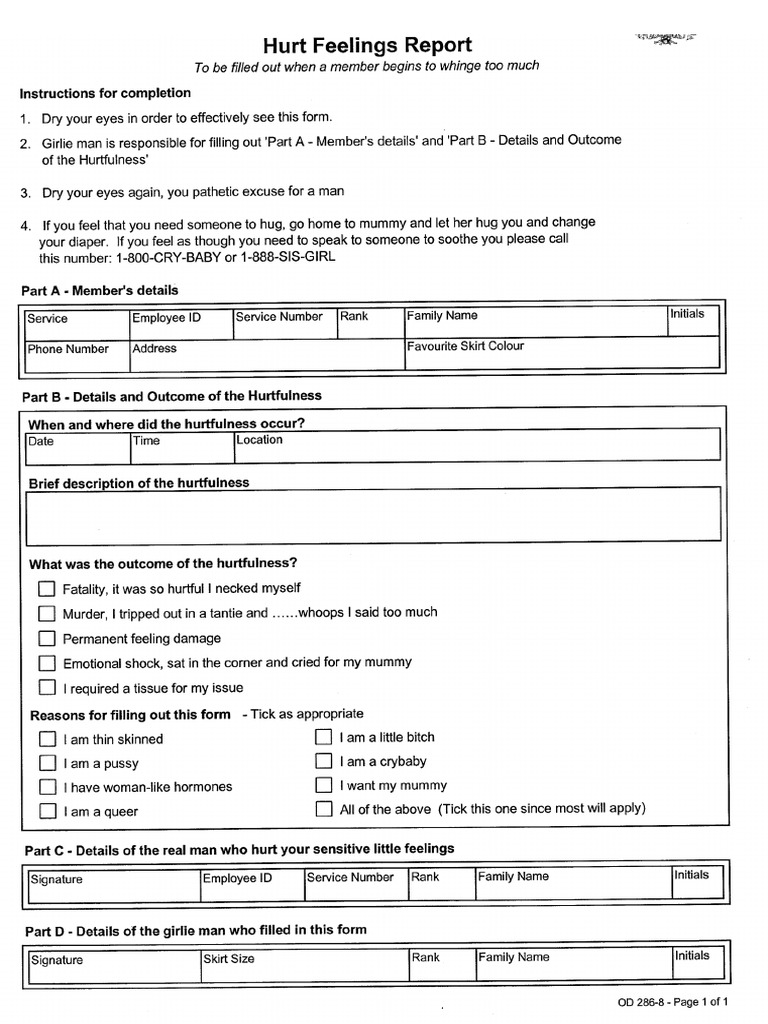 Hurt Feelings Report | PDF