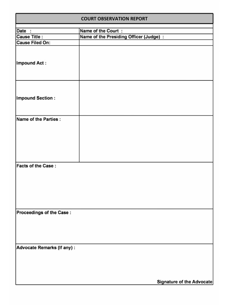 Court Observation Report | PDF