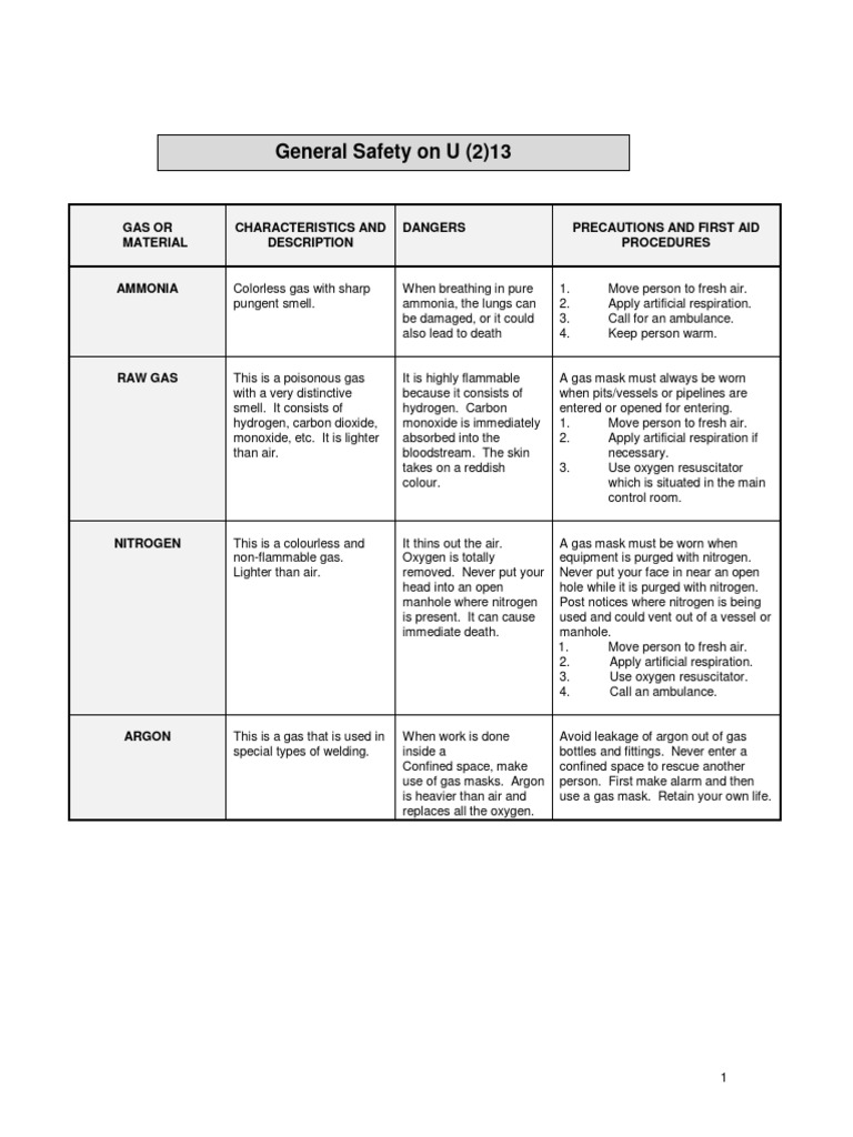 SHE File Synfuels Info | PDF | Oxygen | Ammonia