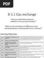 Gaseous Exchange Grade11 Notes | PDF