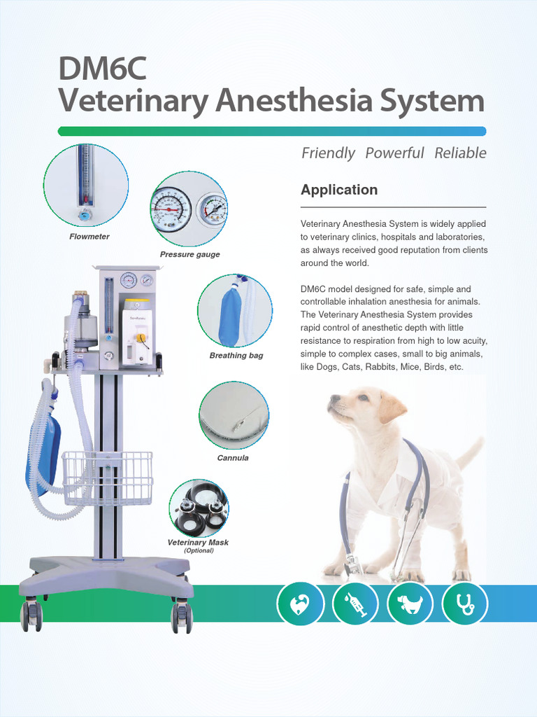 DM6C-Veterinary Anesthesia Machine | PDF | Anesthesia | Breathing