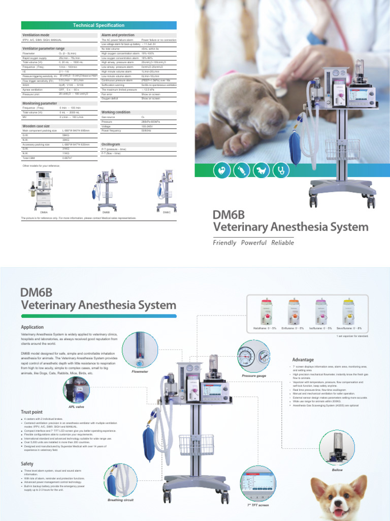 DM6B-Veterinary Anesthesia Machine | PDF | Respiration