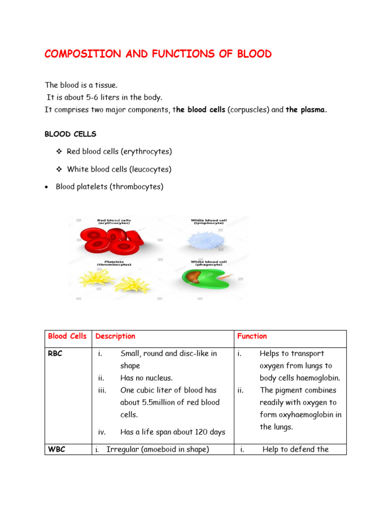 Compostion Structure and Functions of Blood | PDF | Blood | Blood Cell