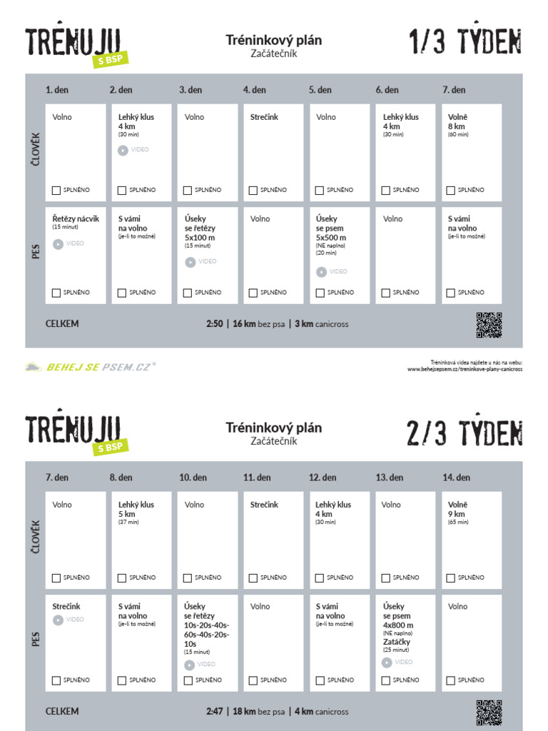Treninkovy-Plan Zacatecnik 4 | PDF
