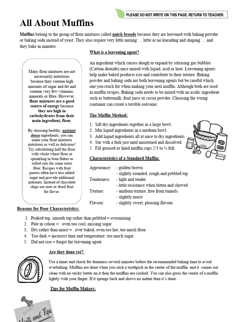 All About Muffins Handout - Fbaf3d134617 | PDF | Flour | Muffin