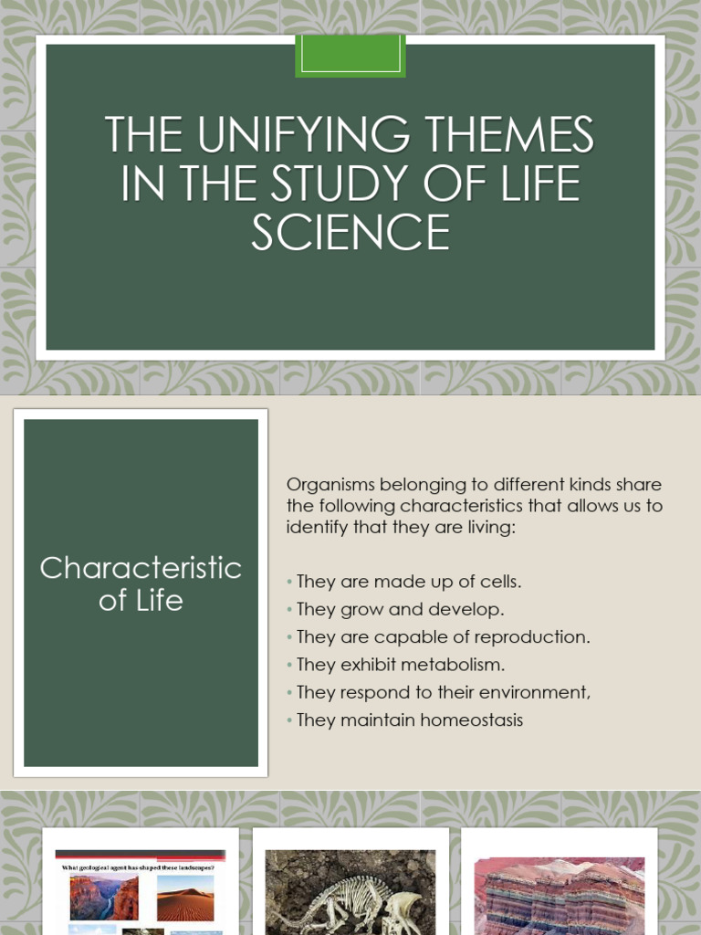 The Unifying Themes in The Study of Life | PDF | Life | Organisms