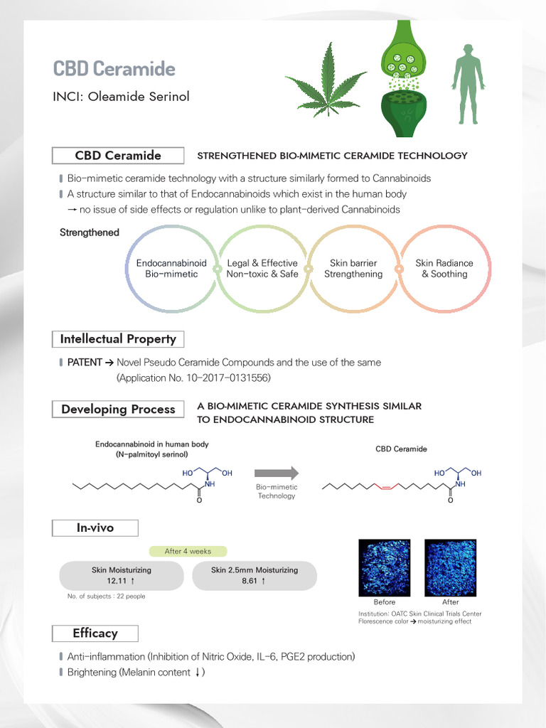 (Leaflet) CBD Ceramide | PDF | Drugs