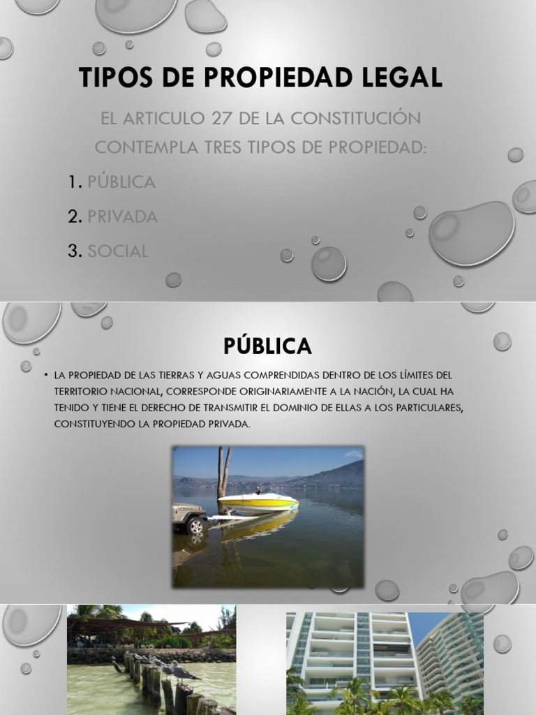 Tipos de Propiedad Legal | PDF