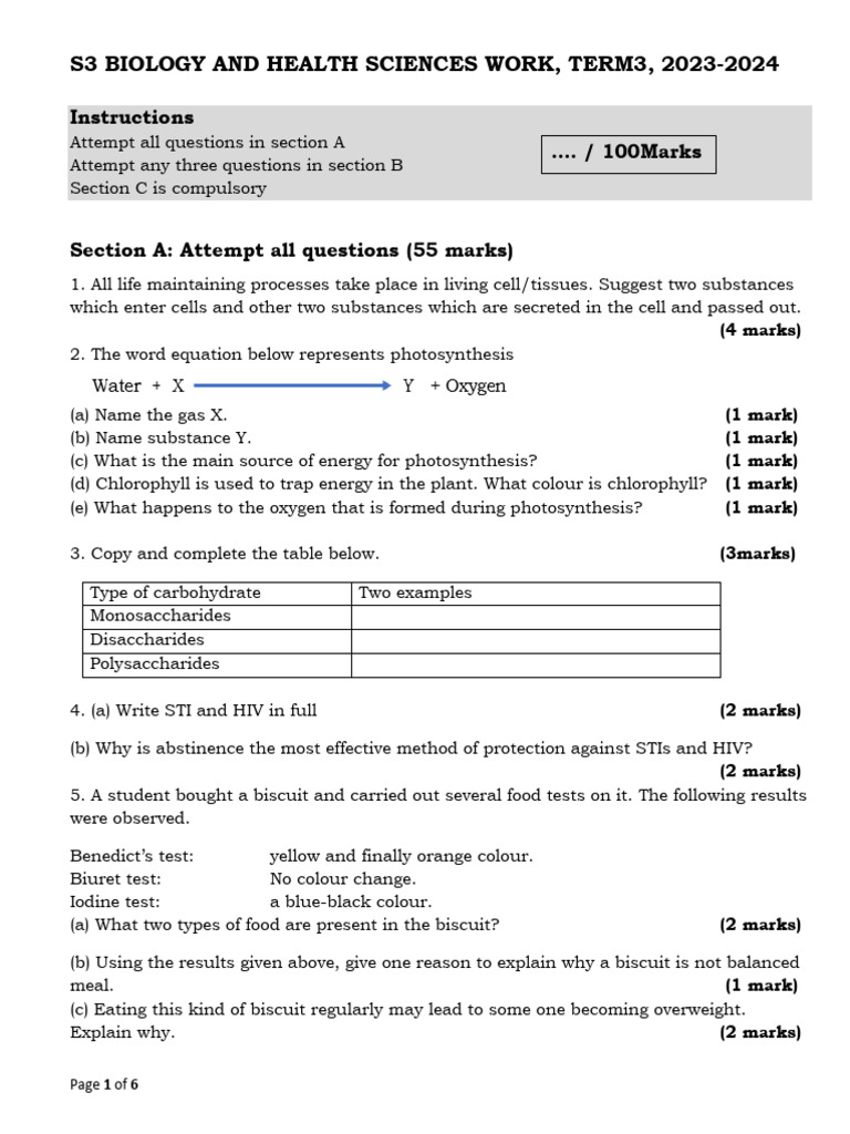 S3 Biology Exercises Term3 2024 | PDF | Enzyme | Urinary System