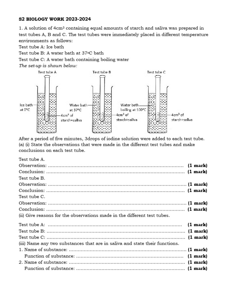 Enzyme Practical Work | PDF | Saliva | Water