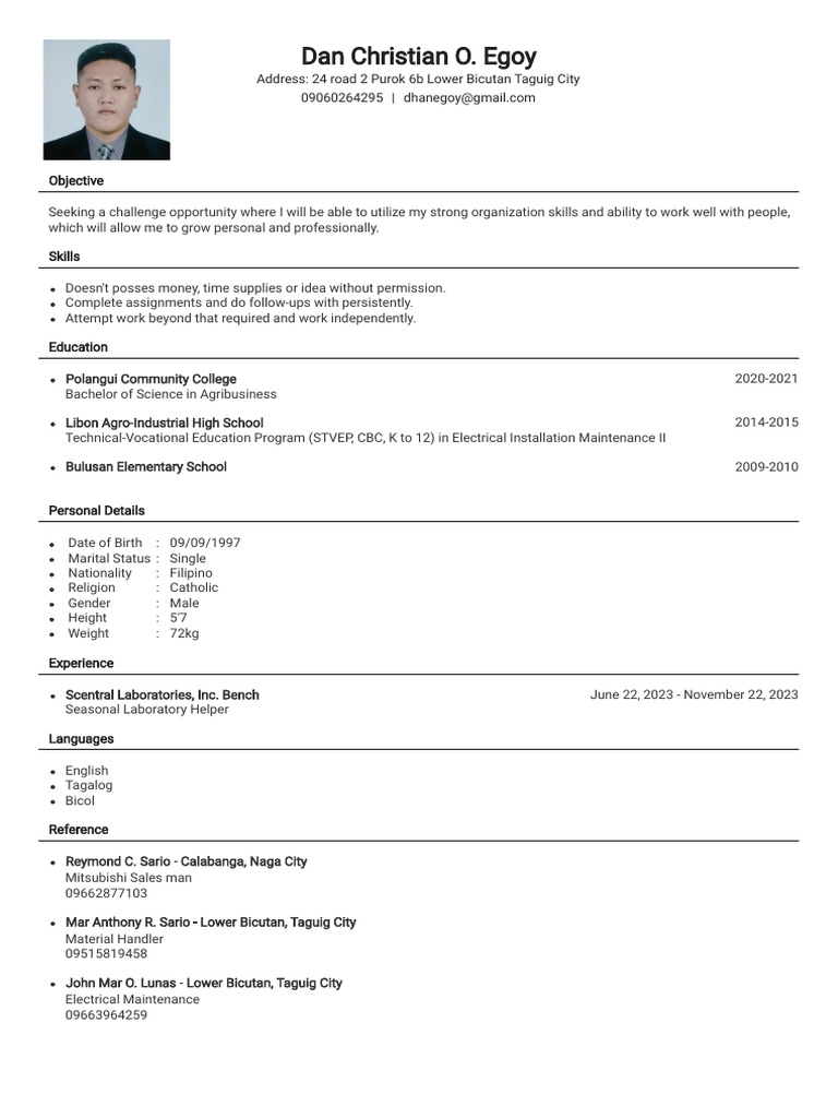 Intelligent CV Document | PDF