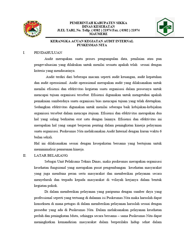 KAK Audit Internal | PDF
