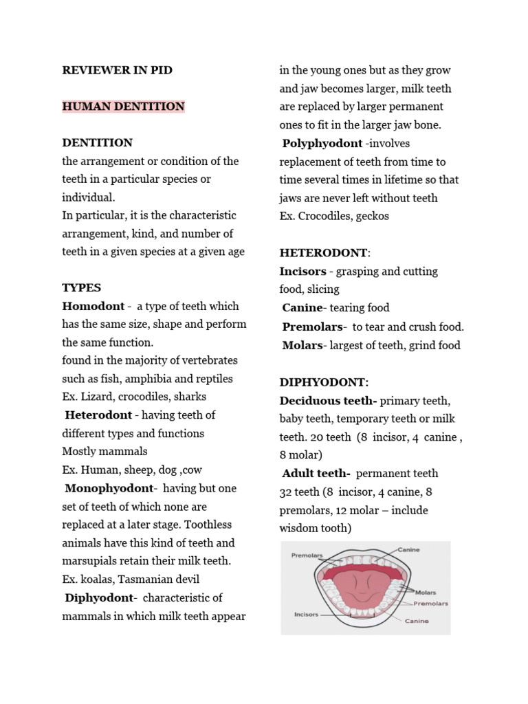 Reviewer in Pid | PDF | Dentistry | Human Tooth