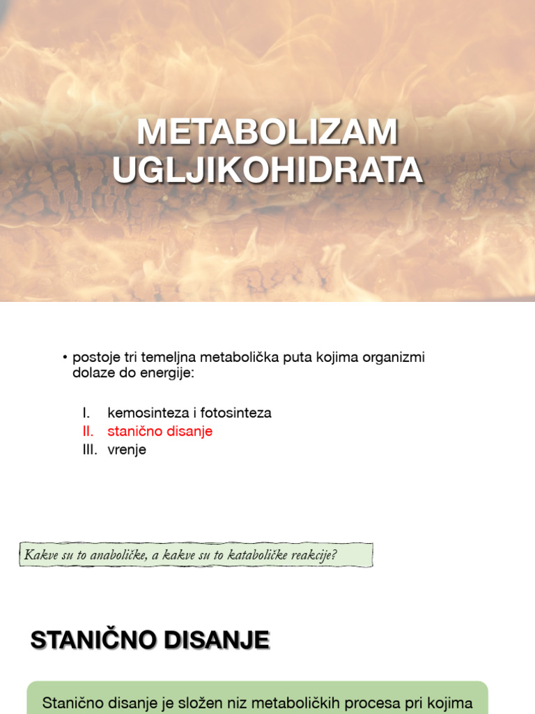 Metabolizam Ugljikohidrata - Glikoliza | PDF