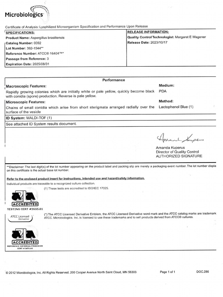 Aspergillus Brasiliensis ATCC 16404 COA 190424 | PDF