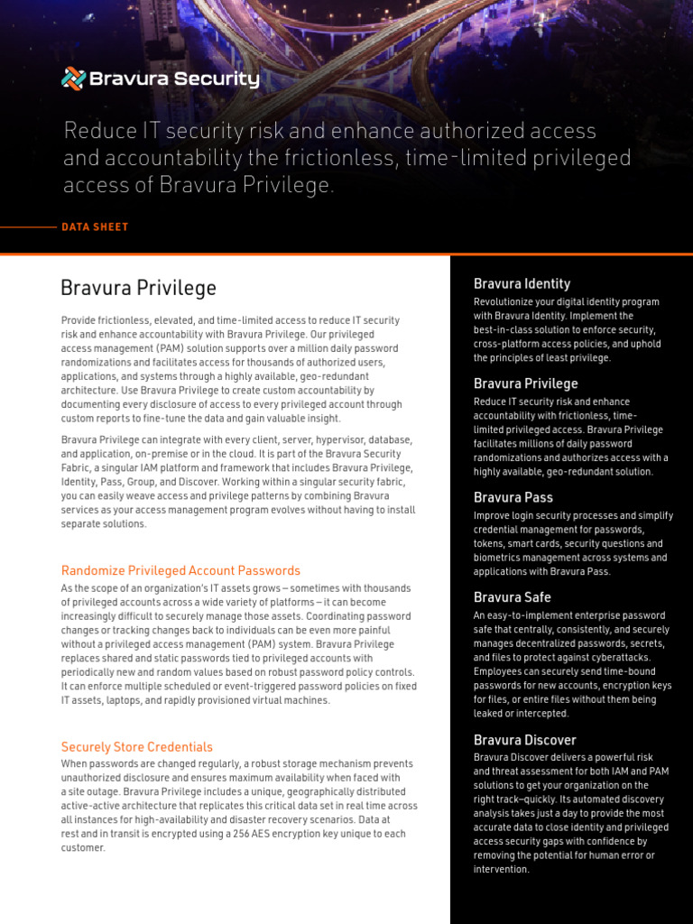 0221 Data - Sheet - Bravura - Privilege - Cobranding | PDF | Password | Security