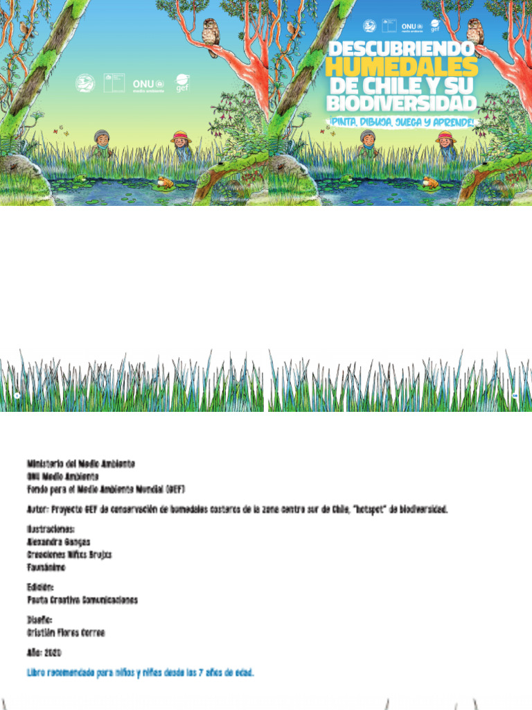 Libro Infantil Humedales - Compressed | PDF