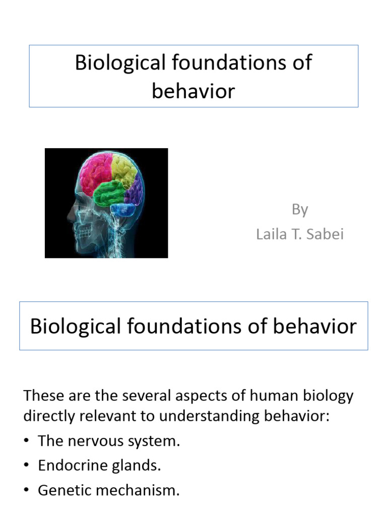 Biological Foundations of Behavior | PDF | Autonomic Nervous System ...
