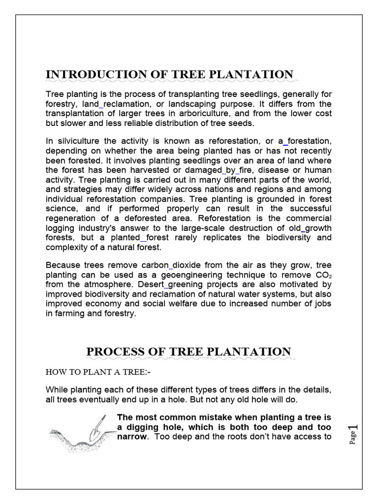 Tree Plantation Project | PDF | Trees | Soil