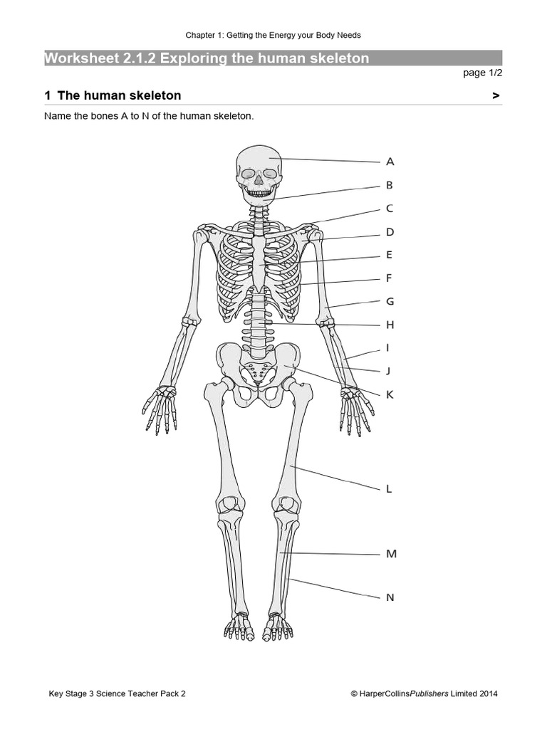 2.1.2 WS Reusable | PDF | Social Science | Wellness