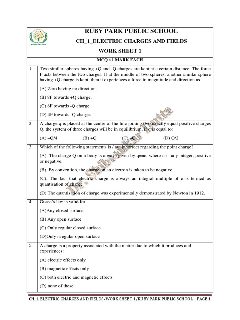 Class 12 - Work Sheet 1 | PDF | Force | Electric Field