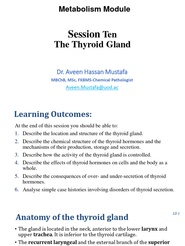 Understanding Thyroid Gland Functions | PDF | Thyroid | Human Anatomy