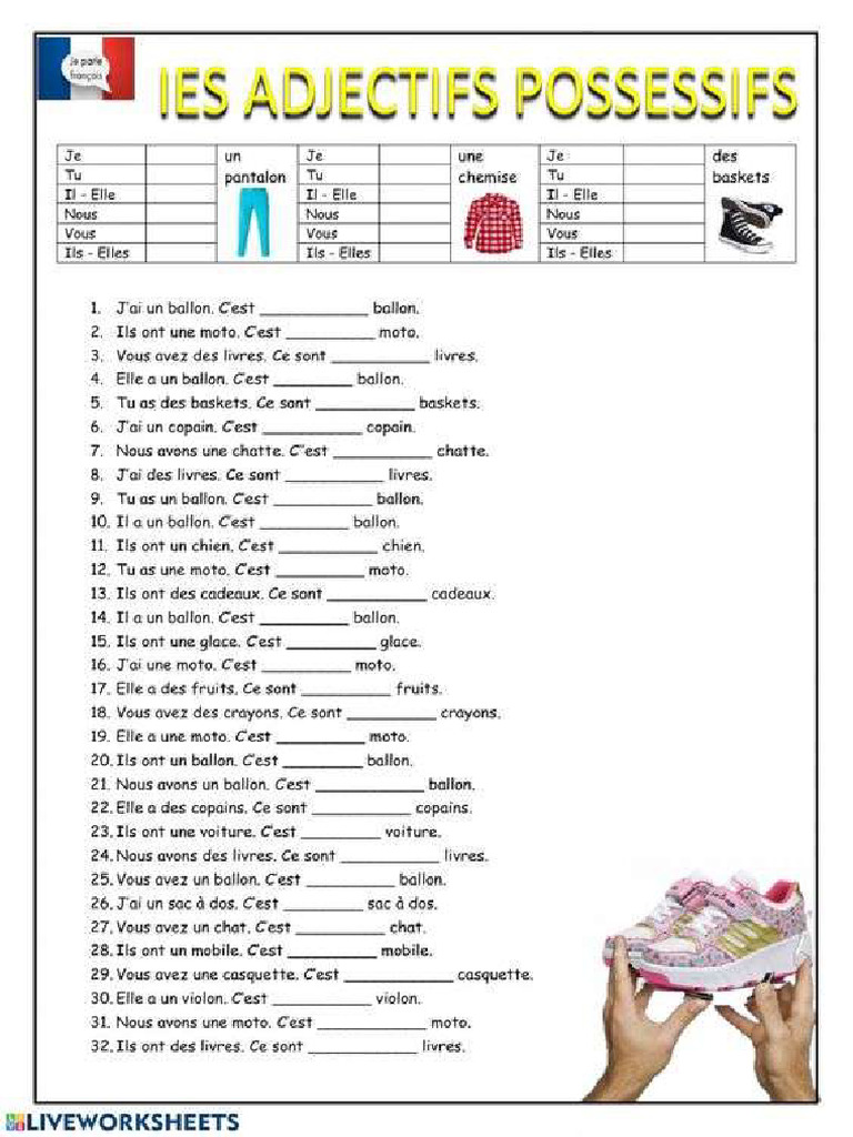 Adjective Possessive Mon Ma Mes | PDF