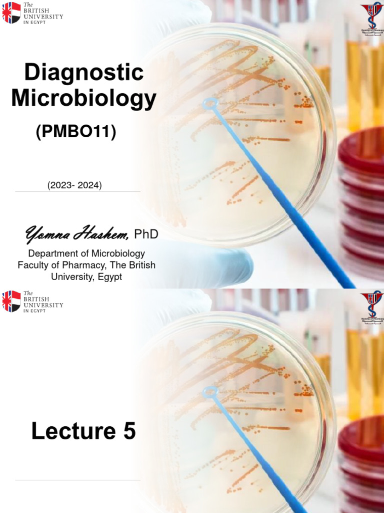 Diagnostic Microbiology Lecture 5 (2023-2024) Modified | PDF | Respiratory Tract | Infection