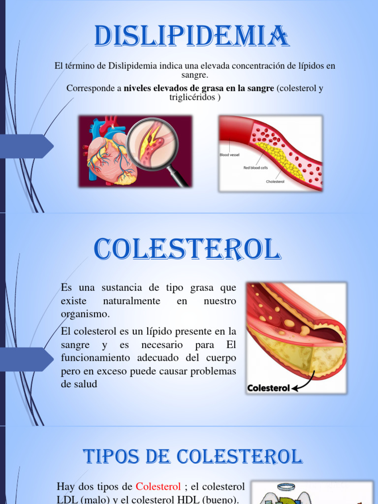 DISLIPIDEMIA | PDF | Colesterol | gordo