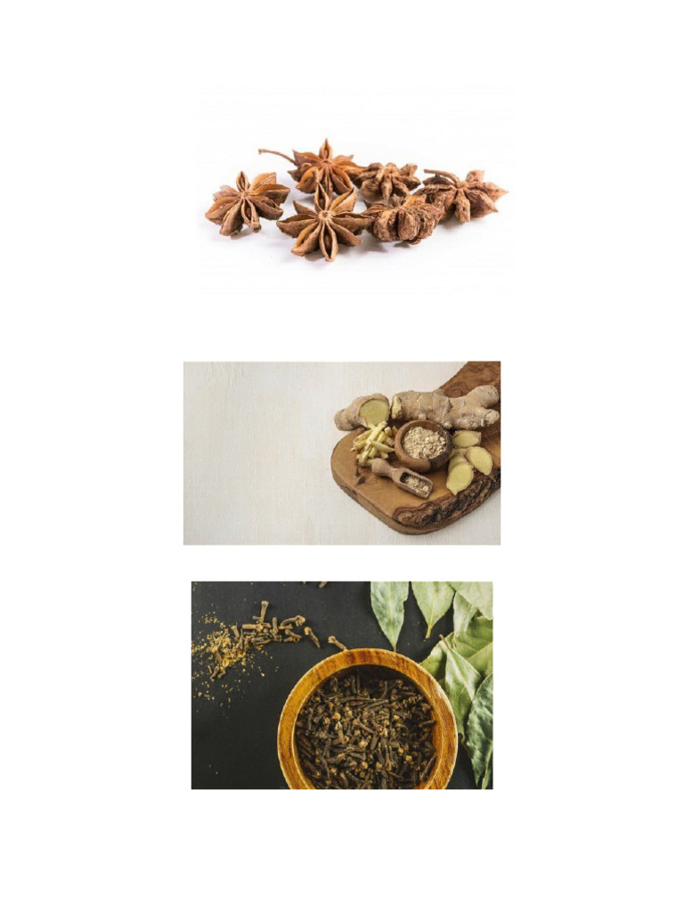 Rempah Rempah | PDF