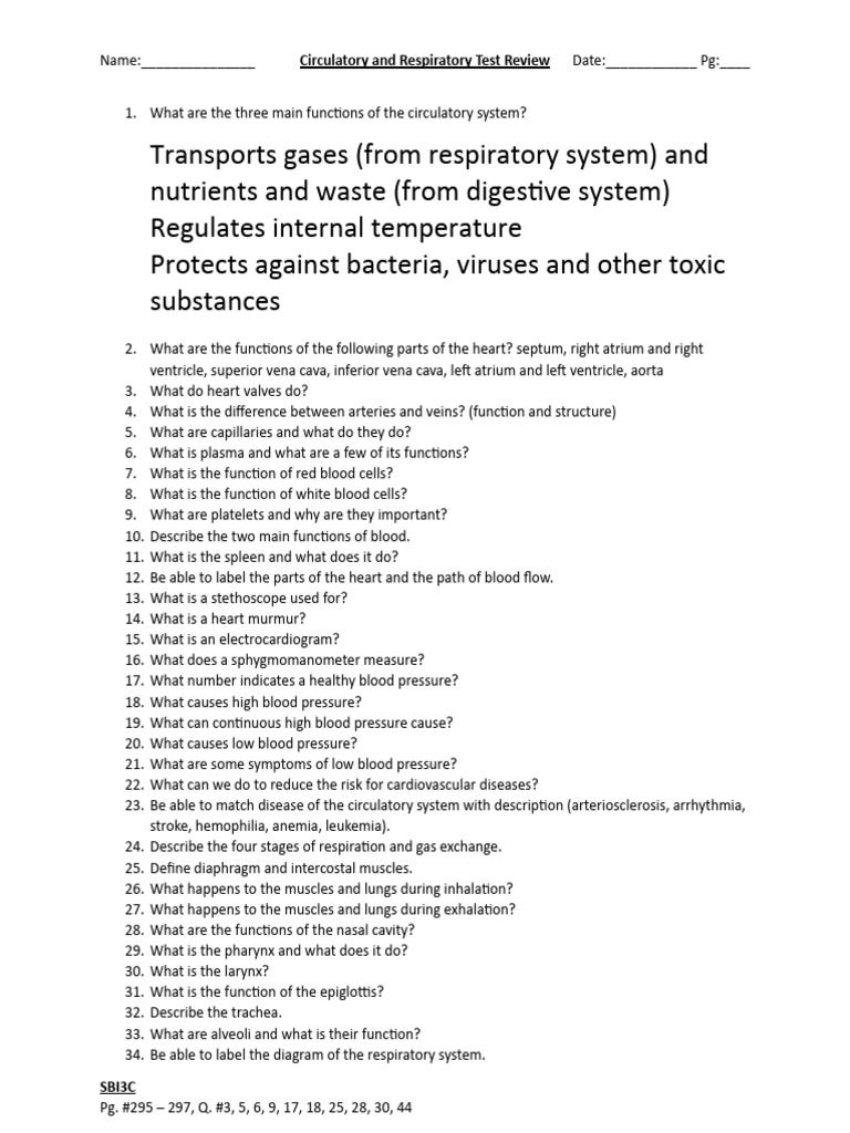 Circulatory and Respiratory Systems Test Review | PDF | Heart | Blood