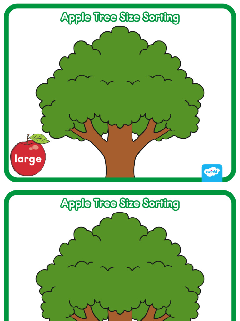 Apple Tree Size Sorting Activity | PDF