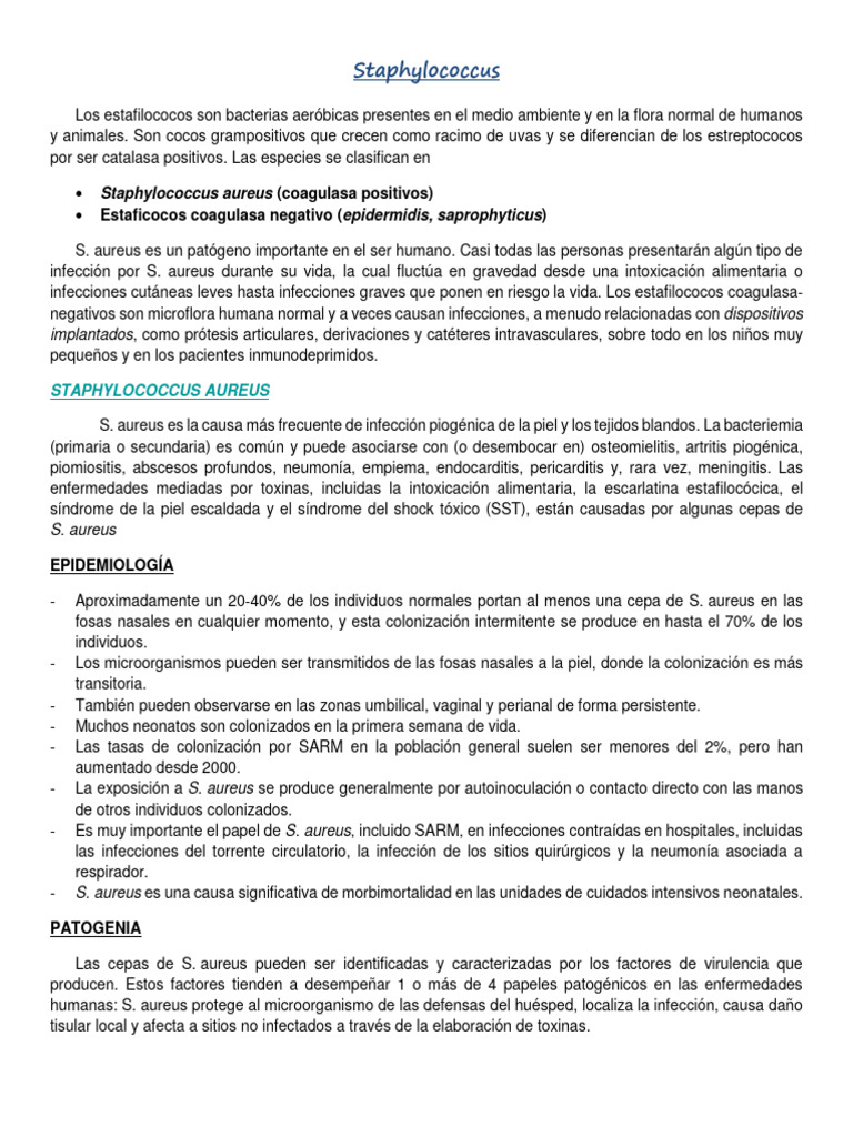 Staphylococcus. | PDF | Staphylococcus Aureus | Enfermedades y trastornos
