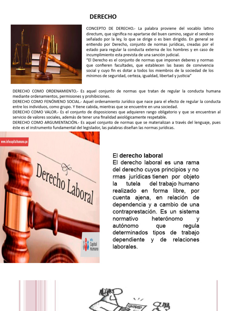4 Derecho Laboral. Principios | PDF | Derecho laboral | Justicia