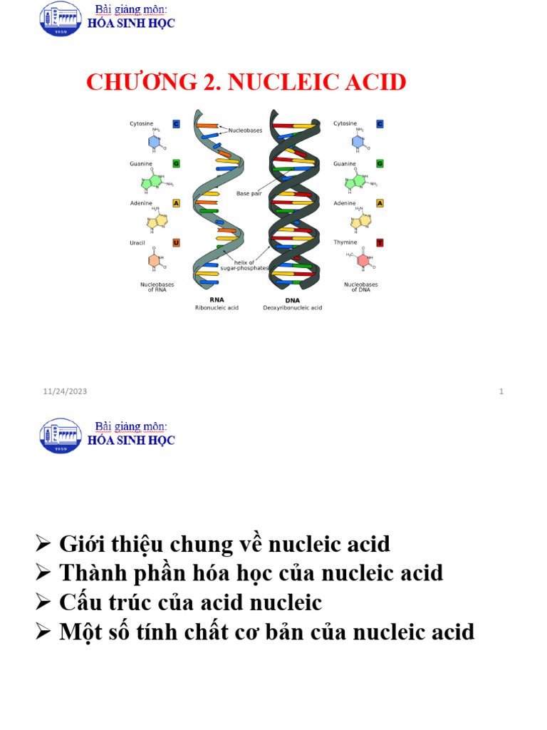Chương 2. Nucleic Acid | PDF