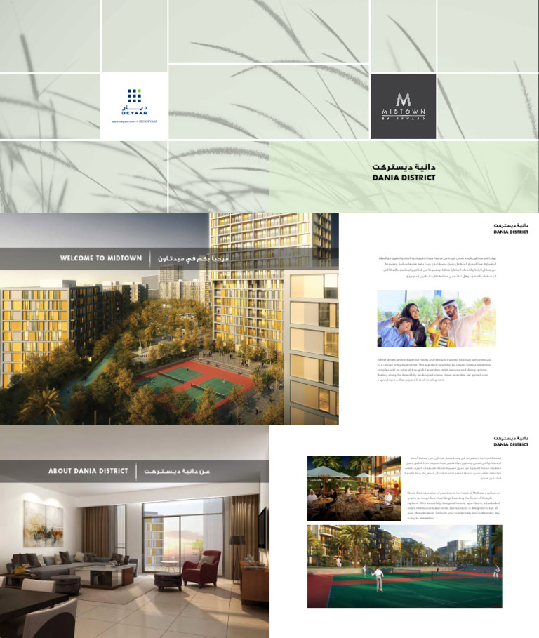 Dania E Brochure | PDF