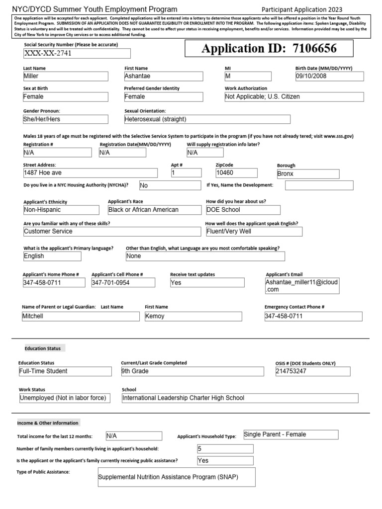 Application Printout | PDF