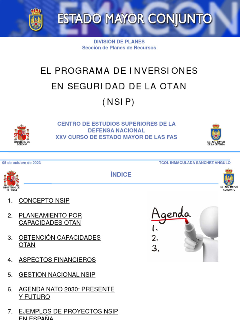 Nsip XXV Cemfas VF | PDF | Política de defensa | La política exterior