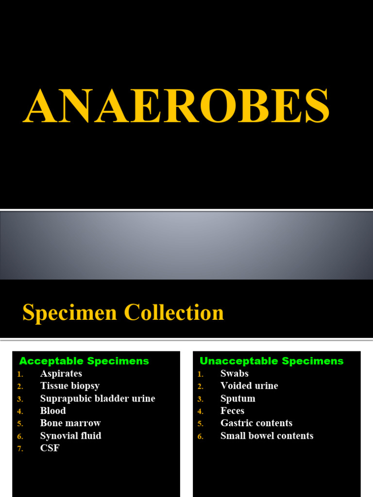 Anaerobes | PDF | Carbon Dioxide | Bacteria Anaerobes | PDF | Carbon Dioxide | Bacteria