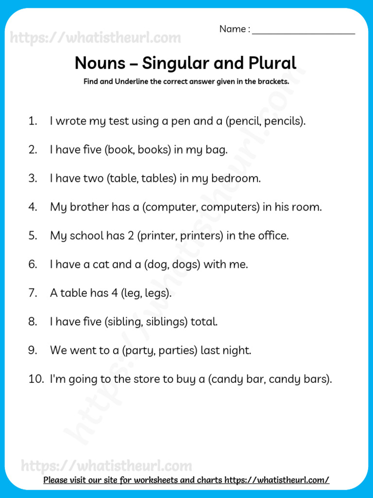 Identifying Singular and Plural Nouns 1 Grade 1 | PDF
