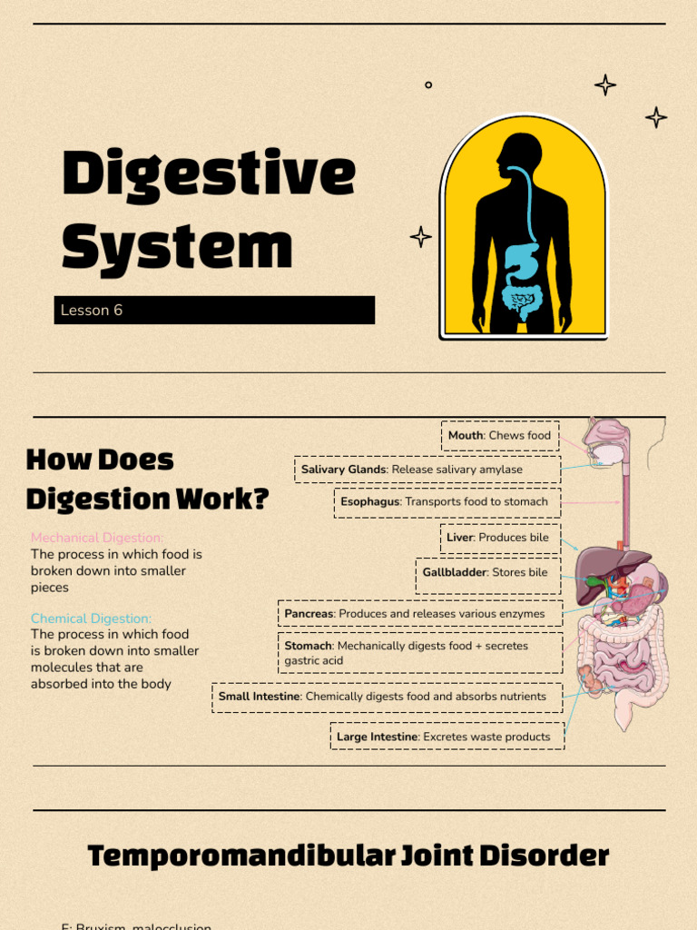 Lesson 6 - Diseases of The Digestive System | PDF | Nausea | Digestion