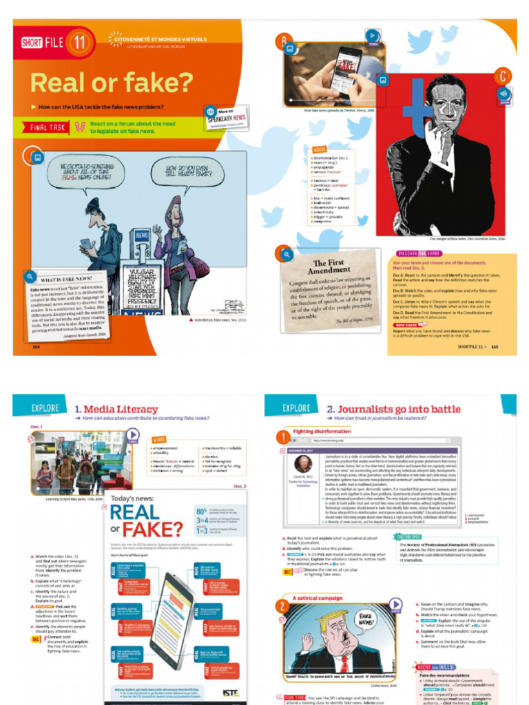 File 11 - Real or Fake | PDF