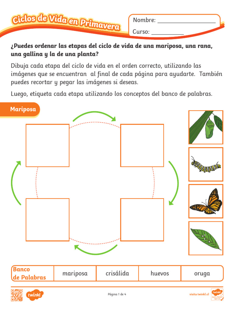 Hoja De Trabajo Para Recortar Y Pegar Del Ciclo De Vida De Una Rana