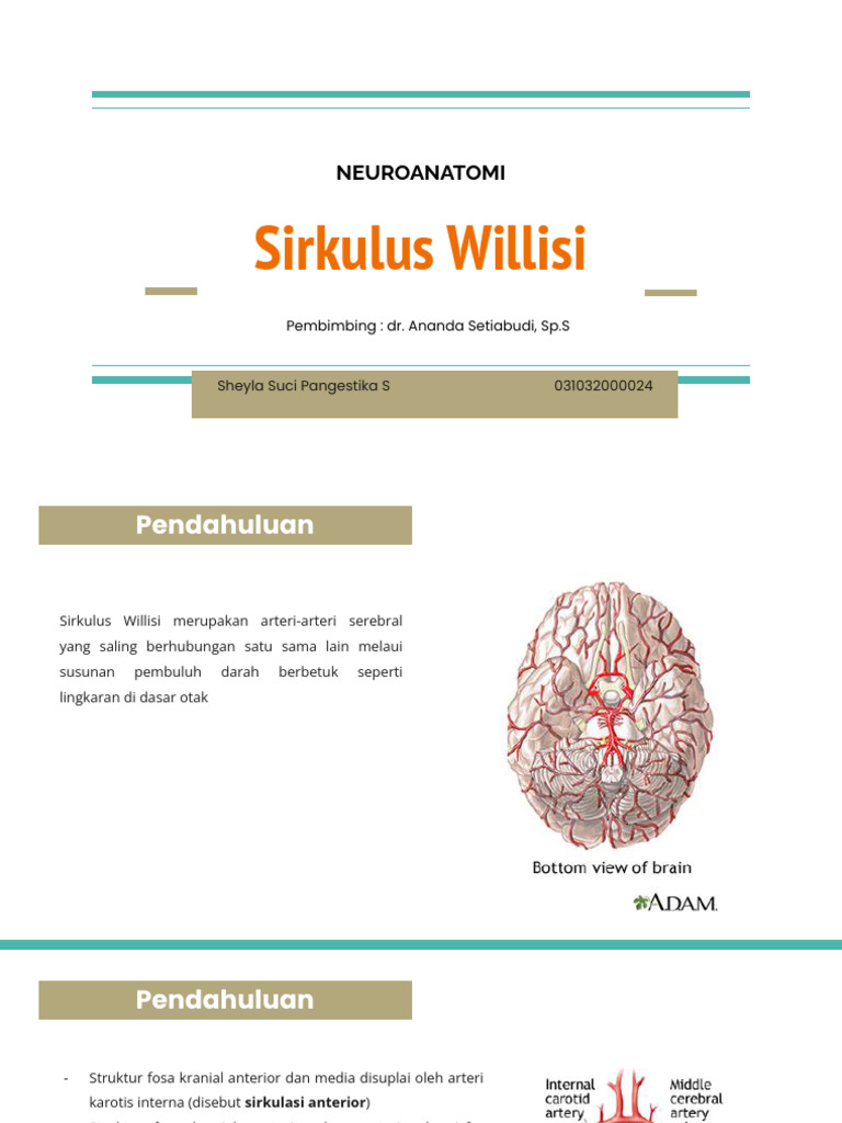 Neuroanatomi - Sirkulus Willisi | PDF | Seni | Kesehatan Holistik