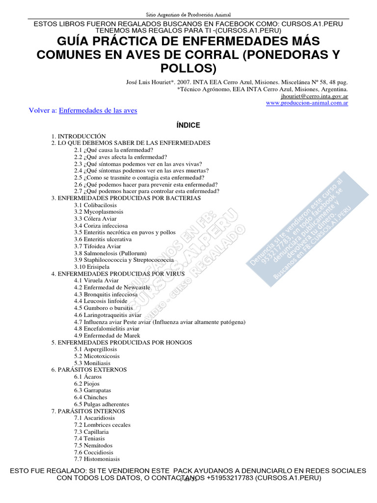 Identificar Enfermedades de Pollos | PDF | Diarrea | Aves