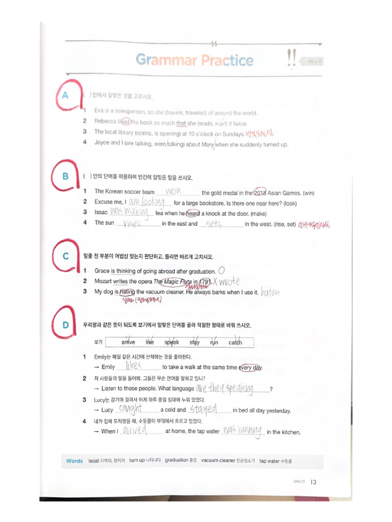 Grammar Practice | PDF