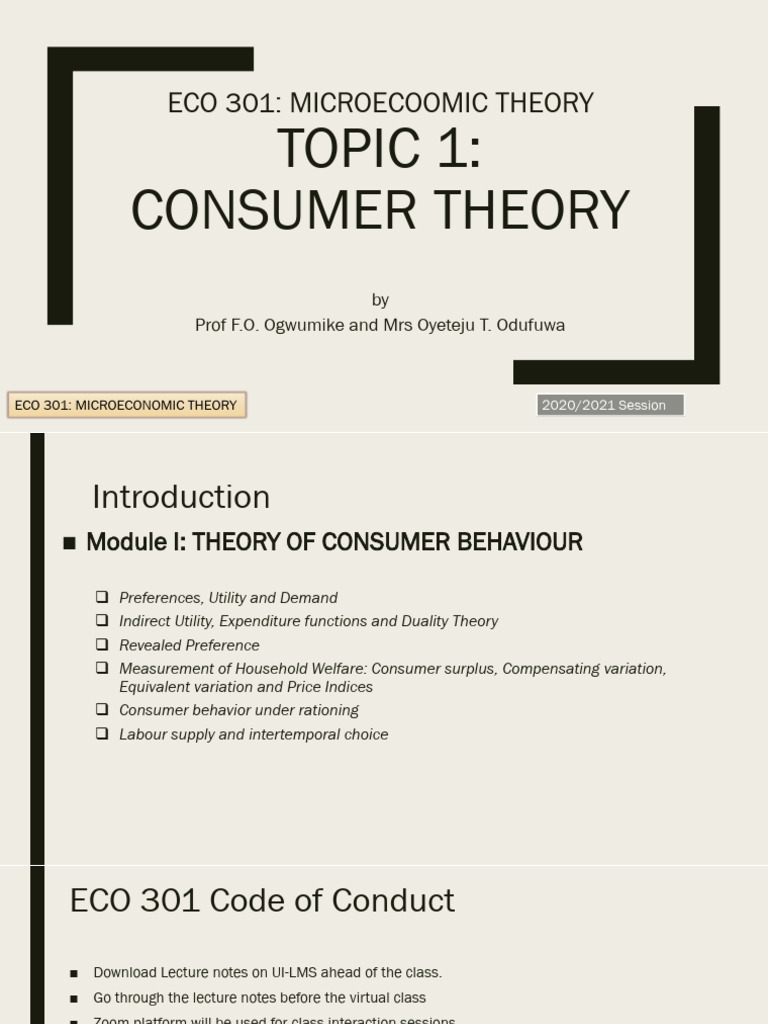 Consumer Theory | PDF | Utility | Business Economics