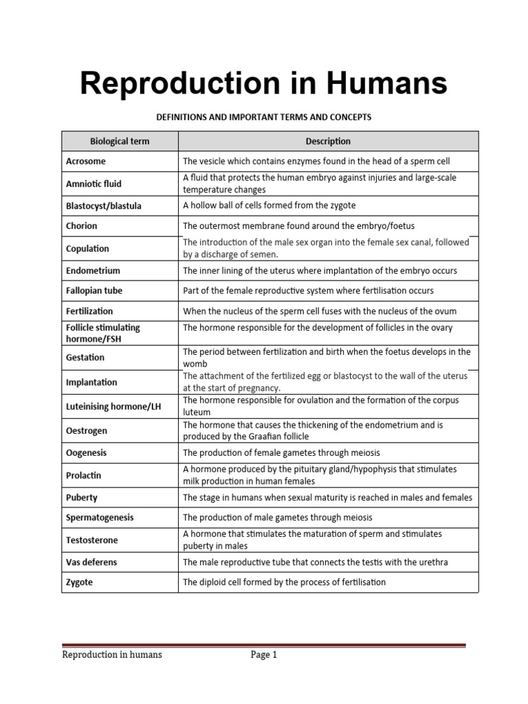 Reproduction in Humans | PDF | Menstrual Cycle | Ovary